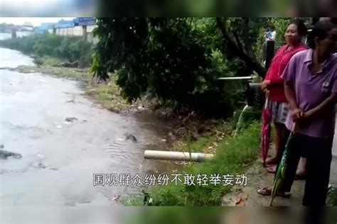 洪水退后，河中出现一条“米大鱼”，村民走近一看发现不对劲！