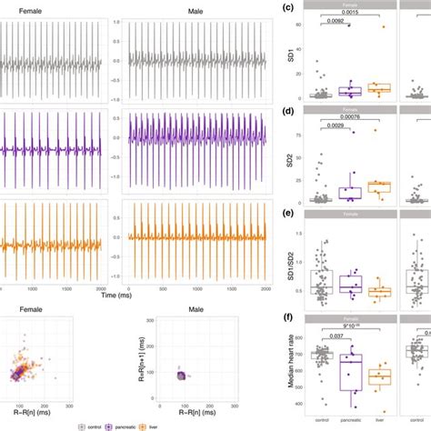 Frequency Domain Analysis Of Hrv Reveals Higher Variability In Female Download Scientific