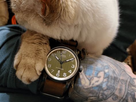 Mido Multifort Escape Cat Approved Pussy Cat Magnet R