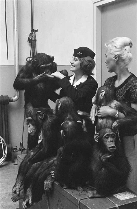 De Heer Willy Kubler Neef Van Strassburger Met Zijn Picryl Public Domain Search