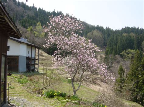 上杉謙信が敵に塩を送る塩の道 千国街道 Region History