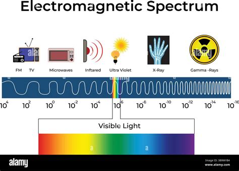 Electromagnetic Spectrum Diagram Design Vector Illustration Stock