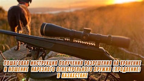 Пошаговая инструкция получения разрешения на хранение и ношение нарезного огнестрельного оружия