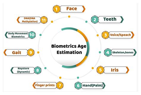 Face Age Estimation At Jerry Baughman Blog