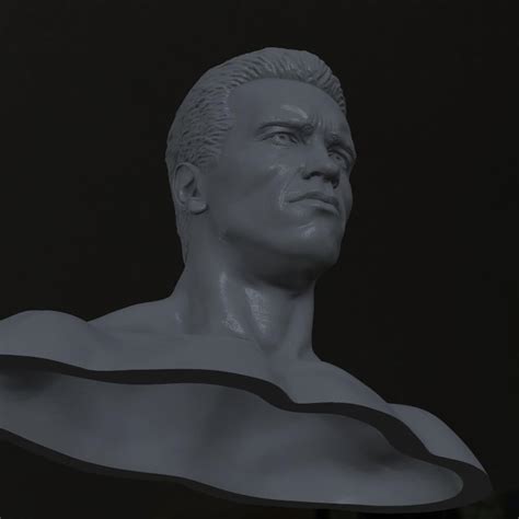 3d Printable Model Arnold Schwarzenegger By Vefilanna