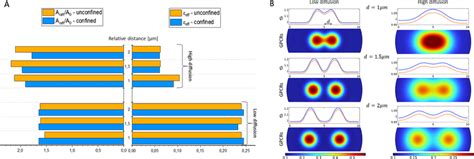 Effect Of Species Diffusivity On Raft Morphology A Comparison Of