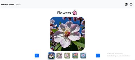 Mehak Fatima Naqvi On Linkedin Codealpha Internship Webdevelopment Imagegallery