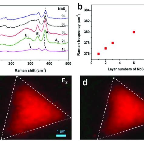 Raman Spectra Of Few Layer Nbs 2 A Raman Spectra Of Nbs 2 With Download Scientific