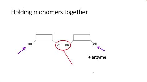 132 Monomers And Polymers V2 Youtube