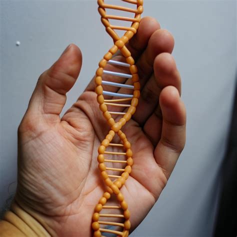 Premium Photo Modelled And Rendered Dna Shape In Hand Illustration