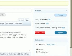 How To Create A Post In Wordpress Plus Thesis