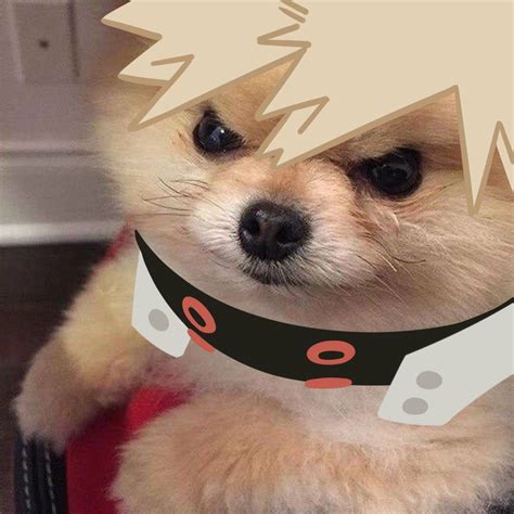 Bakugo Meme Funny Anime Pics Anime Funny Anime Funny Moments