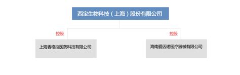 Organization Structure Seebio Biotech Shanghai Co Ltd Powered