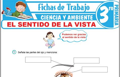 El Sentido De La Vista Para Tercero De Primaria Fichas De Trabajo