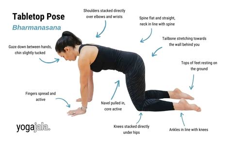 Tabletop Yoga Poses At Marilyn Rose Blog