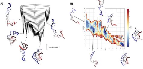Computer Aided Comprehensive Explorations Of Rna Structural