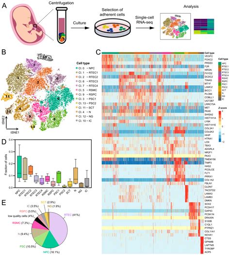 The Relevance Of Single Cell Analysis Approaches For The Characterization Of Amniotic Fluid