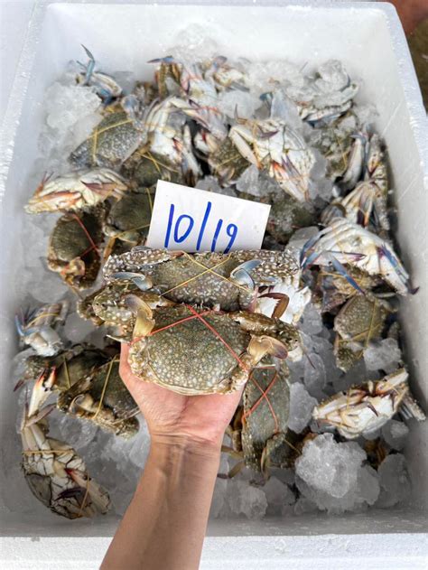 🦀🦀ปูม้าลาก🦀🦀แพ2 🦀ปูม้า45 เจ้าแม่อาหารทะเลสด สาขาสอง Facebook