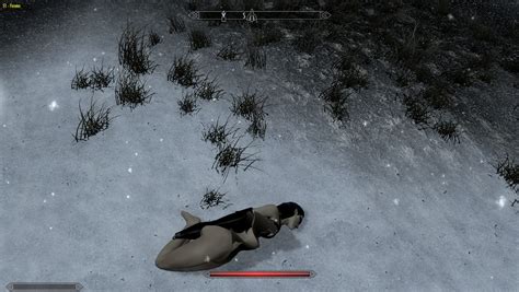 Animation Body Scaling Problem Skyrim Technical Support Loverslab