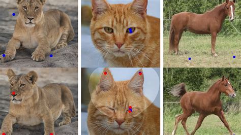 Draggan A New Era In Image Editing