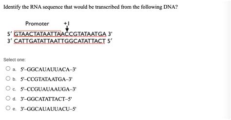 Solved Identify The Rna Sequence That Would Be Transcribed