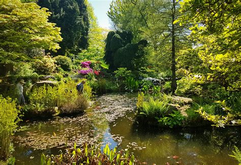The Birmingham Botanical Gardens And Glasshouses Historic And Botanic