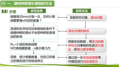 1 2 1建构种群增长模型的方法及种群数量的变化课件 共35张ppt 21世纪教育网 二一教育