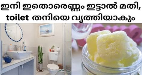 Toilet Cleaning Classic Movies