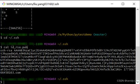 github配置 ssh key步骤 csdn博客