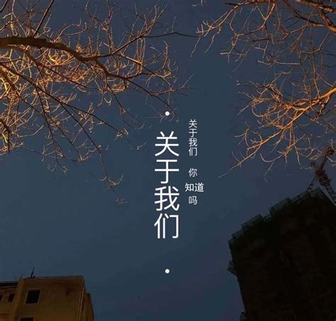 关于我 极客学长极客学长呀 哔哩哔哩