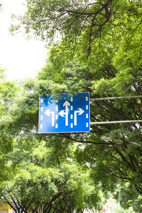 指示牌素材 指示牌模板 指示牌图片免费下载 设图网