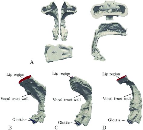 Printed And Finite Element Models A Different Views Of The Download Scientific Diagram