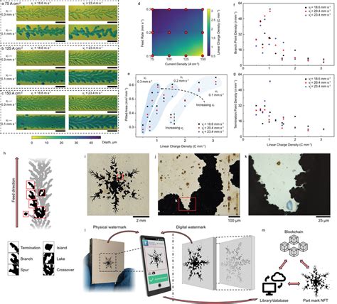 Unclonable Watermark Arrays Can Be Directly Written Onto A Surface Download Scientific Diagram