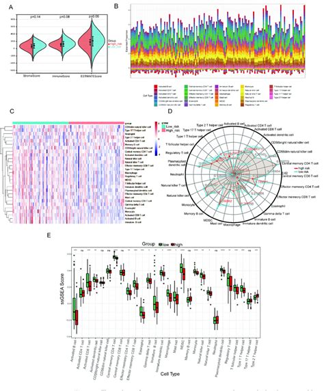 The Analysis Of Tumor Immune Microenvironment Between High Risk Group Download Scientific