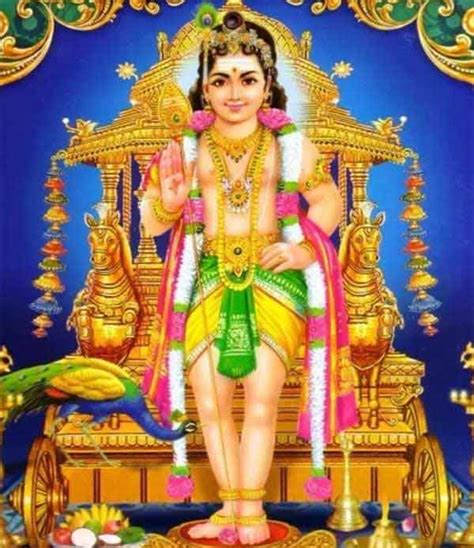 Agni Kavadi Walking On Fire Coal In Murugan Temples With Kavadi