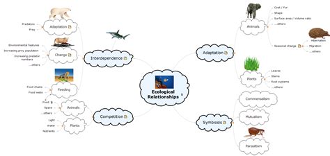 Ecological Relationships 5180 Mindview Mind Mapping Software
