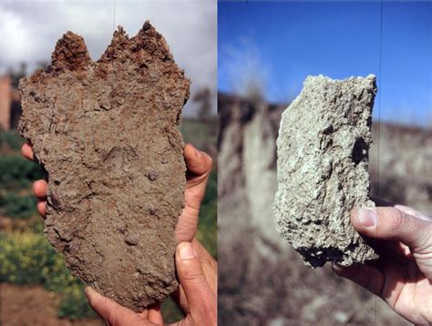 Blocky Soil Structure