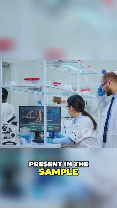 Unlocking Secrets Of Metagenomics Exploring Microbial Diversity