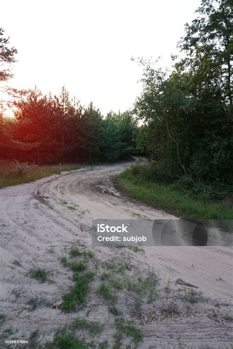 날의 일몰에 숲에서 아름 다운 흙 길 조 경 생태 여행입니다 0명에 대한 스톡 사진 및 기타 이미지 0명 거리 경관 Istock