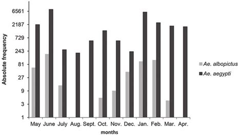 Monthly Distribution Of Aedes Aegypti And Aedes Albopictus In Campo