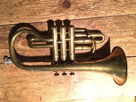 Cornet Kaufen Auf Ricardo