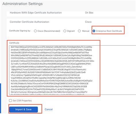 Cisco Sd Wan Lab Controllers Deployment