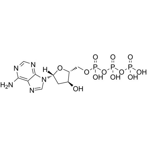 2 Deoxyadenosine 5 Triphosphate Targetmol