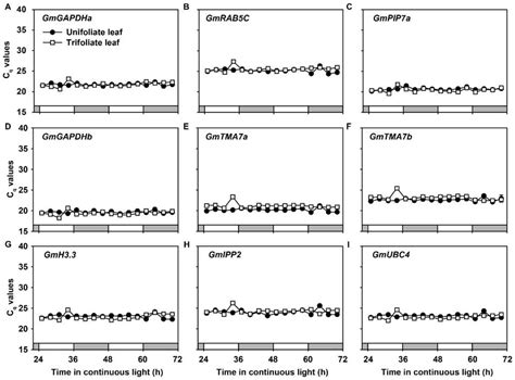 Soybean Reference Gene As Well As Detection Primer And Application