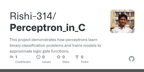 Github Rishi 314perceptroninc This Project Demonstrates How
