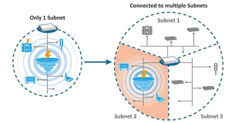 Understanding The Differences Between Layer And Layer Switches EtherWAN