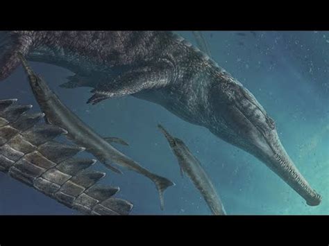 Machimosaurus The Largest Amphibious Crocodile Relative Of The