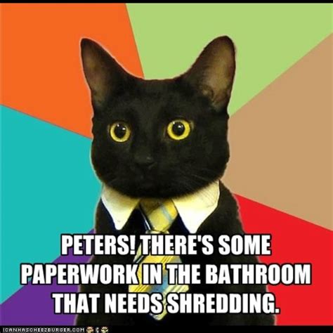The Job Isnt Finished Until The Paperwork Is Done Business Cat Meme