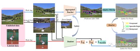 最新综述！五大方向逐一梳理半监督目标检测进展 Csdn博客