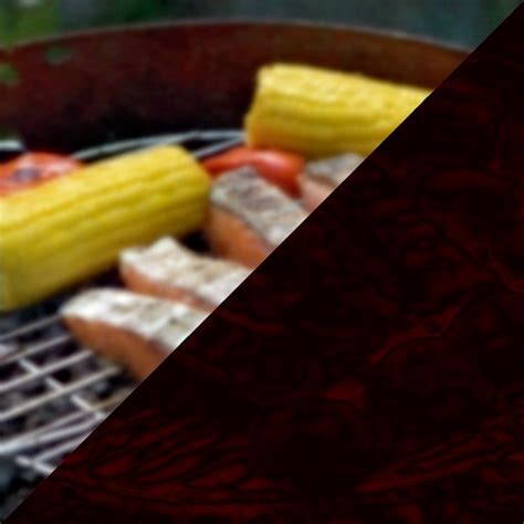 Neural Gaussian Scale Space Fields More Evaluations